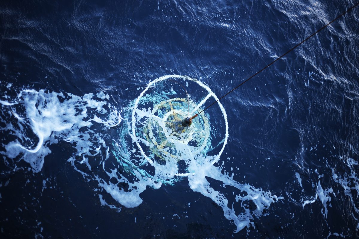 Onderwatergeluid - Ambassade van de Noordzee